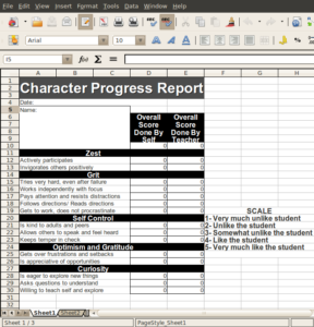 Character Report Card Template (2) - PROFESSIONAL TEMPLATES ...