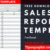 Free Daily Sales Report Excel Template (3) - PROFESSIONAL TEMPLATES ...