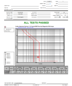 Megger Test Report Template (1) - PROFESSIONAL TEMPLATES | PROFESSIONAL ...