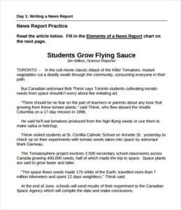 News Report Template (6) - PROFESSIONAL TEMPLATES | PROFESSIONAL TEMPLATES