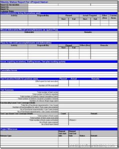 Software Testing Weekly Status Report Template (2) - PROFESSIONAL ...
