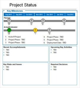 Software Testing Weekly Status Report Template (7) - PROFESSIONAL ...
