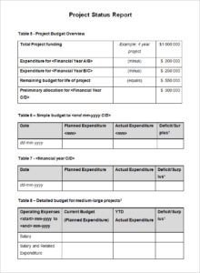 Daily Project Status Report Template (8) - PROFESSIONAL TEMPLATES ...