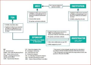 Dsmb Report Template (2) - PROFESSIONAL TEMPLATES | PROFESSIONAL TEMPLATES