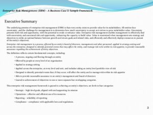 Enterprise Risk Management Report Template (9) - PROFESSIONAL TEMPLATES ...