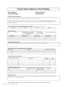 Executive Summary Project Status Report Template (6) - PROFESSIONAL ...