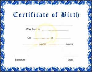 Fake Birth Certificate Template - PROFESSIONAL TEMPLATES | PROFESSIONAL ...