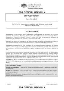 Gmp Audit Report Template (2) - PROFESSIONAL TEMPLATES | PROFESSIONAL ...