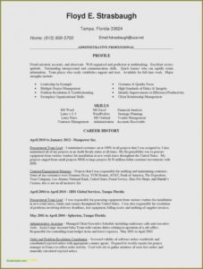 Gmp Audit Report Template (12) - PROFESSIONAL TEMPLATES | PROFESSIONAL ...