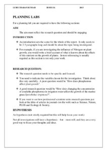 Ib Lab Report Template (2) - PROFESSIONAL TEMPLATES | PROFESSIONAL ...