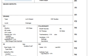 Icu Report Template (1) - PROFESSIONAL TEMPLATES | PROFESSIONAL TEMPLATES
