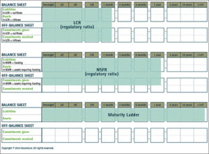 Liquidity Report Template (1) - PROFESSIONAL TEMPLATES | PROFESSIONAL ...