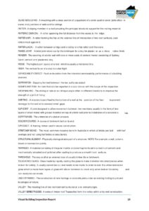 Pre Purchase Building Inspection Report Template (1) - PROFESSIONAL ...