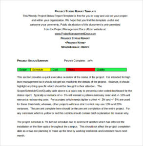 Software Development Status Report Template (1) - PROFESSIONAL ...