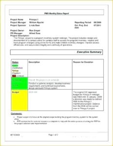 Software Development Status Report Template (9) - PROFESSIONAL ...