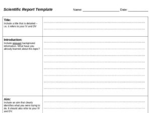 What Is A Report Template (3) - PROFESSIONAL TEMPLATES | PROFESSIONAL ...