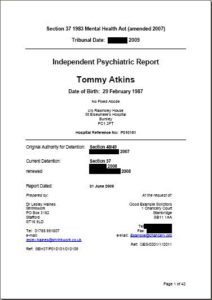Expert Witness Report Template (8) - PROFESSIONAL TEMPLATES ...