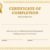 Generic Certificate Template (5) - PROFESSIONAL TEMPLATES ...