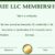 Llc Membership Certificate Template (1) - PROFESSIONAL TEMPLATES ...