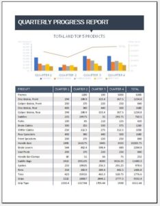 Quarterly Status Report Template (2) - PROFESSIONAL TEMPLATES ...