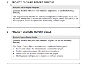 Report To Senior Management Template (2) - PROFESSIONAL TEMPLATES ...