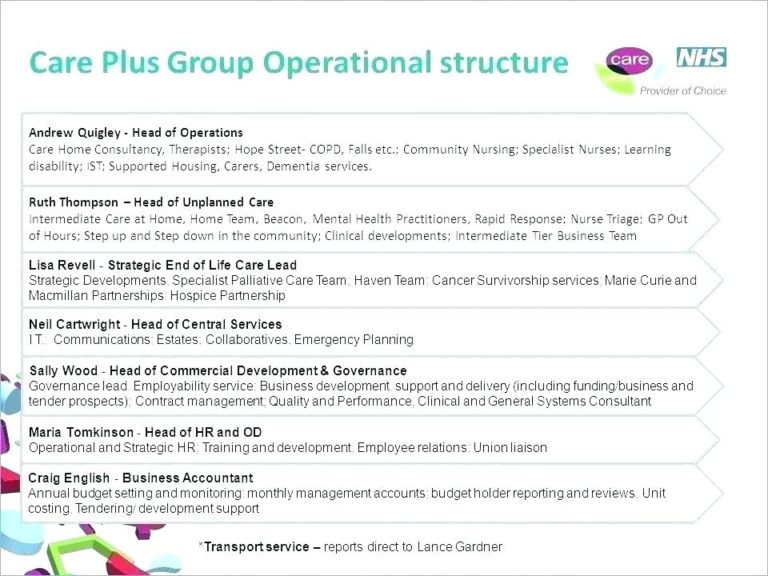 Service Review Report Template (5) - PROFESSIONAL TEMPLATES ...