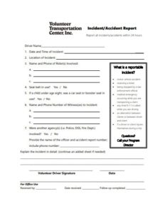 Volunteer Report Template (7) - PROFESSIONAL TEMPLATES | PROFESSIONAL ...