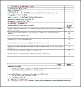 Work Summary Report Template (2) - PROFESSIONAL TEMPLATES ...