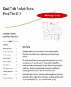 Business Analyst Report Template (5) - PROFESSIONAL TEMPLATES ...