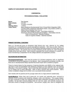 Psychoeducational Report Template (6) - PROFESSIONAL TEMPLATES ...
