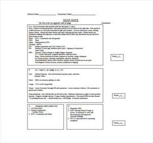 Soap Report Template (1) - PROFESSIONAL TEMPLATES | PROFESSIONAL TEMPLATES