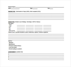 Soap Report Template (3) - PROFESSIONAL TEMPLATES | PROFESSIONAL TEMPLATES