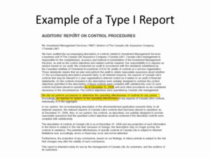 Ssae 16 Report Template (12) - PROFESSIONAL TEMPLATES | PROFESSIONAL ...