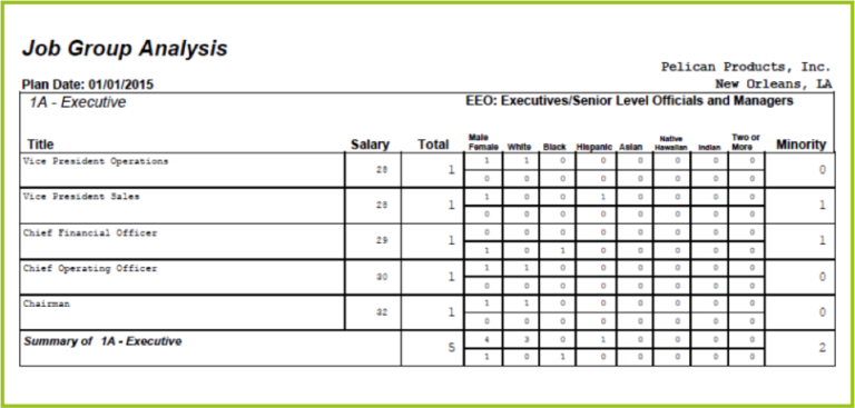 Eeo 1 Report Template - PROFESSIONAL TEMPLATES | PROFESSIONAL TEMPLATES