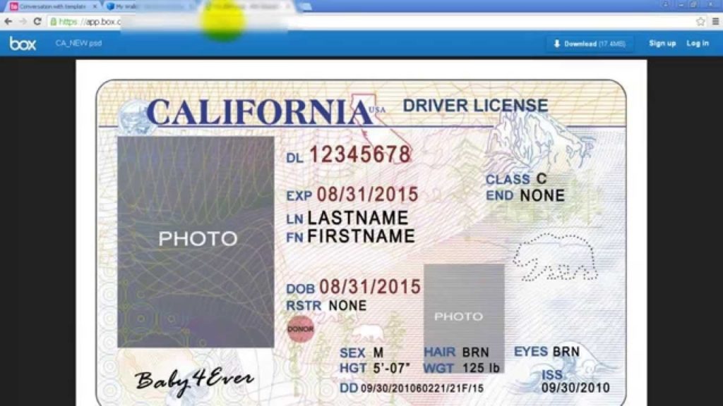 Blank Drivers License Template (11) - PROFESSIONAL TEMPLATES ...