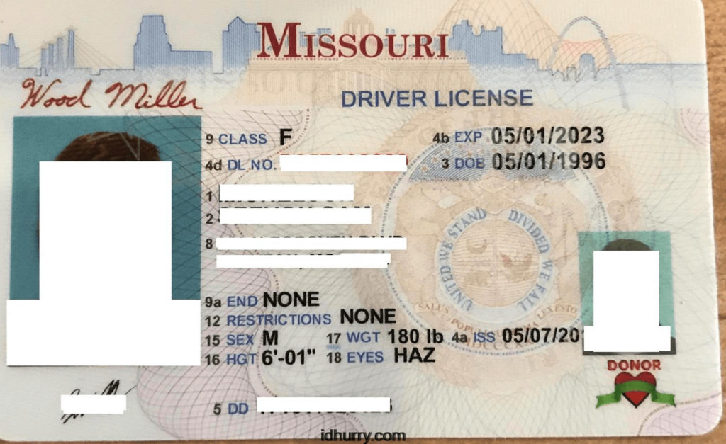 Blank Drivers License Template - PROFESSIONAL TEMPLATES | PROFESSIONAL ...