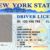 Blank Drivers License Template (4) - PROFESSIONAL TEMPLATES ...