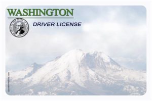 Blank Drivers License Template (5) - PROFESSIONAL TEMPLATES ...