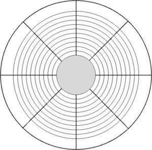 Blank Performance Profile Wheel Template (1) - PROFESSIONAL TEMPLATES ...