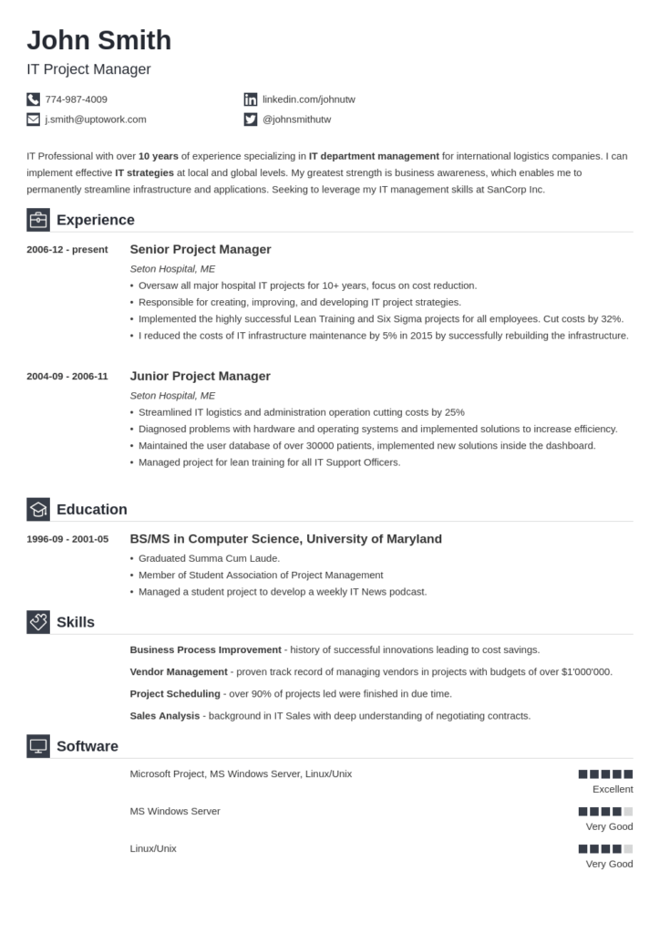 Resume Templates It - PROFESSIONAL TEMPLATES | PROFESSIONAL TEMPLATES