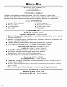 Resume Templates for Job Hoppers - PROFESSIONAL TEMPLATES ...