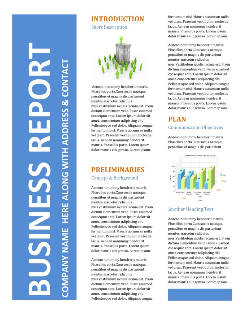 A Professional Report Template (1) - PROFESSIONAL TEMPLATES ...