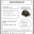 Animal Report Template 4th Grade (1) - PROFESSIONAL TEMPLATES ...