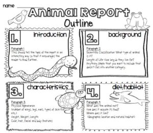 Animal Report Template 5th Grade (6) - PROFESSIONAL TEMPLATES ...